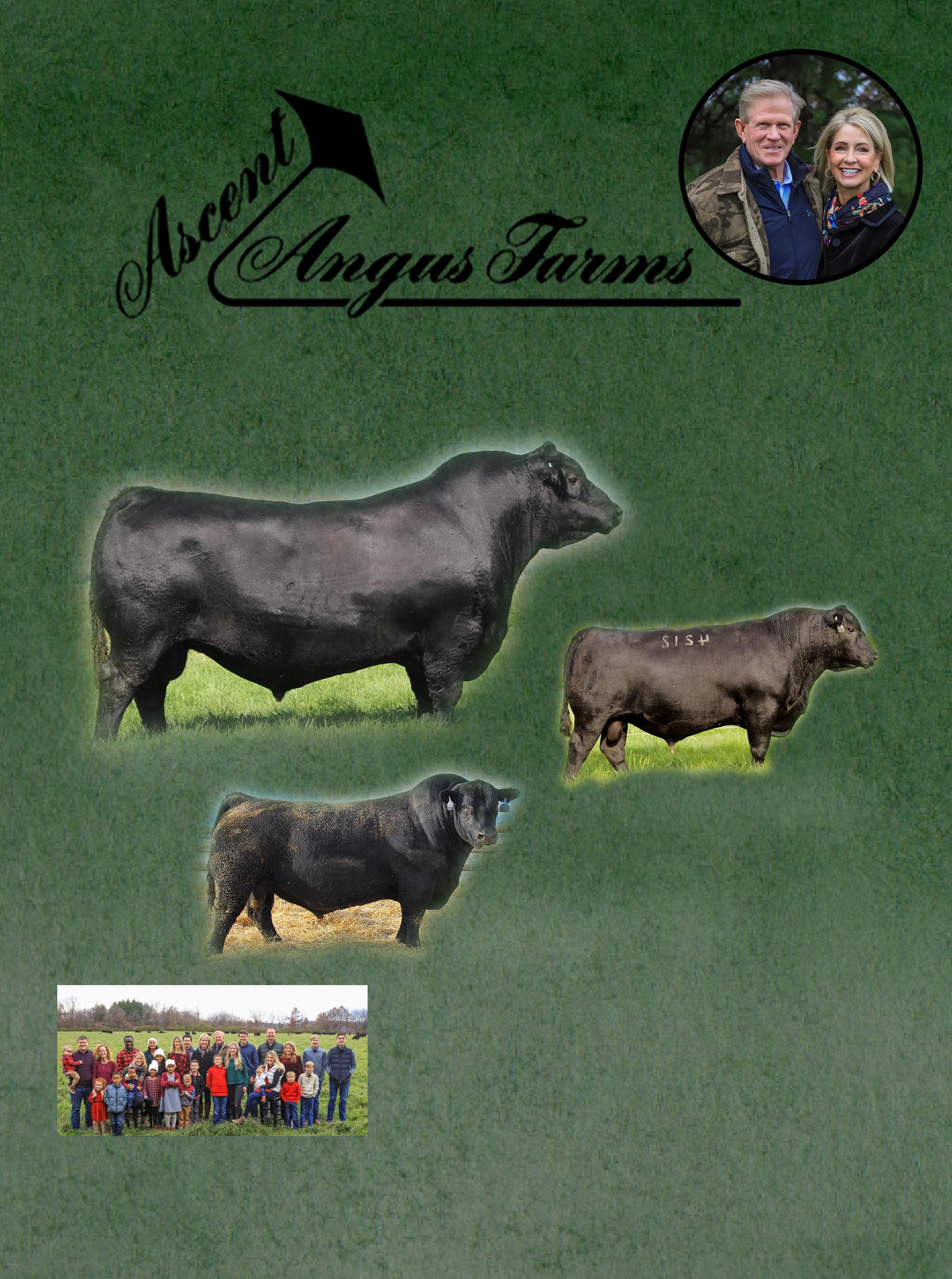 Illinois Beef January/February 2023 by Illinois Beef/Illinois Angus ...