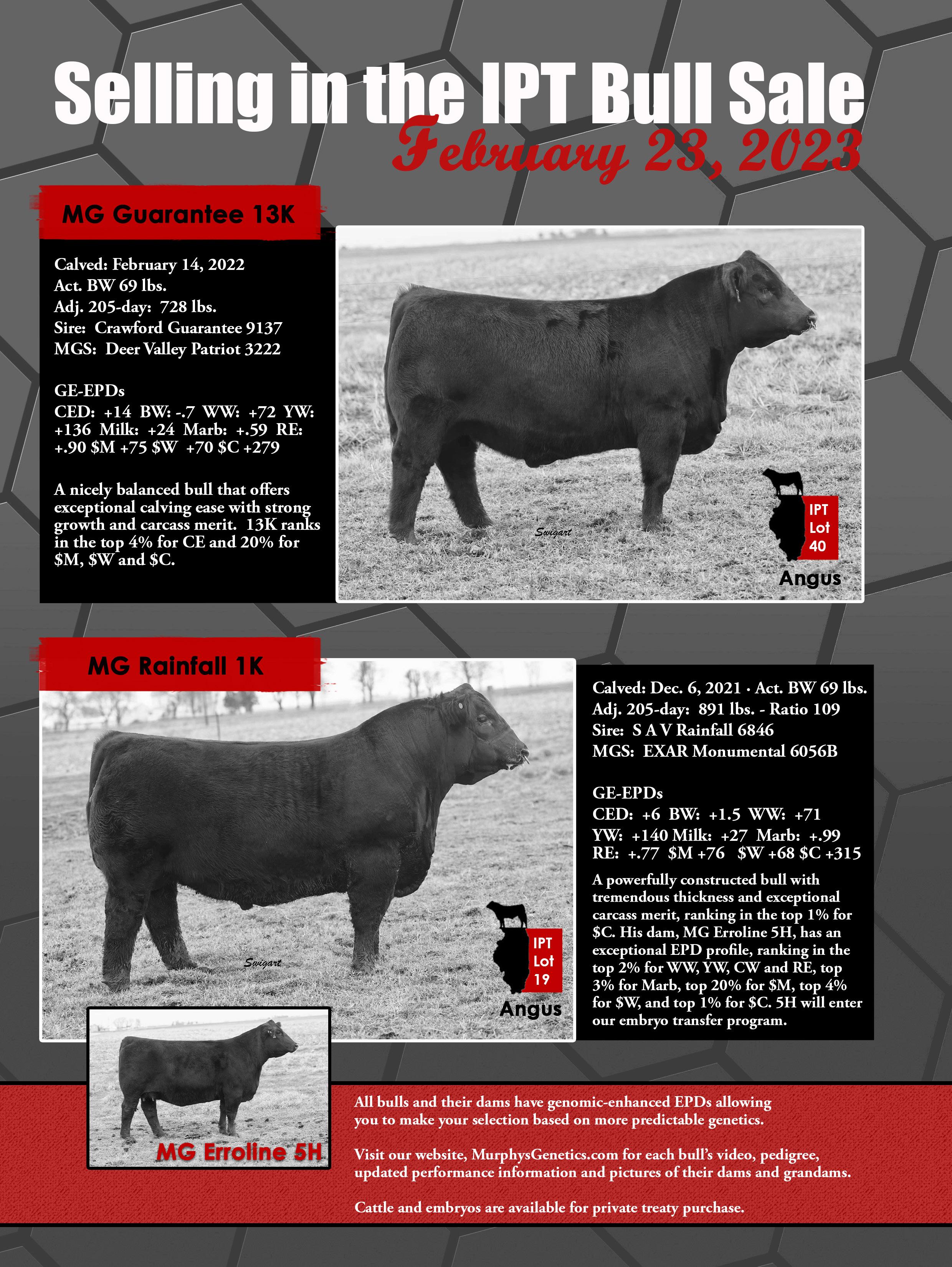 Illinois Beef January/February 2023 by Illinois Beef/Illinois Angus ...