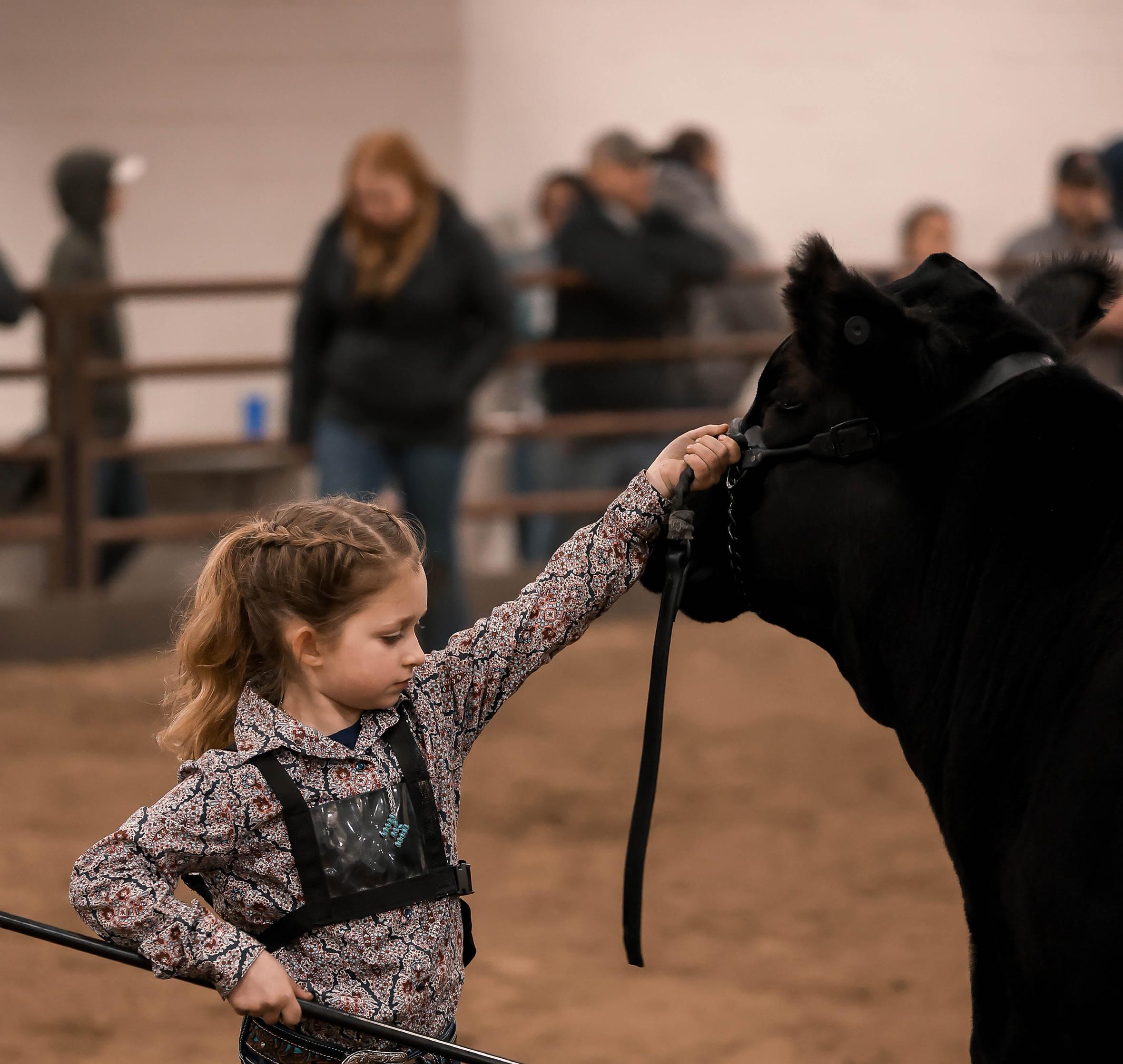 Illinois Beef January/February 2023 by Illinois Beef/Illinois Angus ...