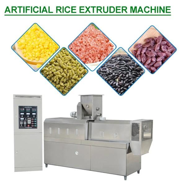 Artificial Rice as a Functional Food Alternative to Support Food ...