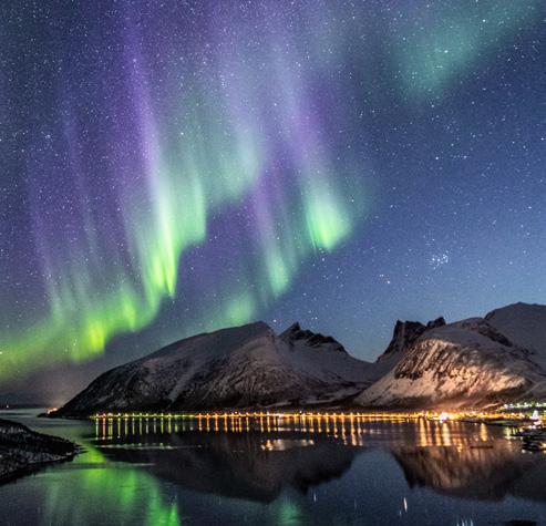 Viking Explorer Sale_HOT Dunedin by Viking Cruises (Aus/NZ) - Issuu