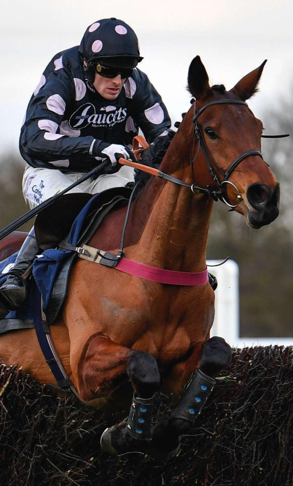 Huntingdon Racecard - Friday 27th January by Weatherbys - Issuu