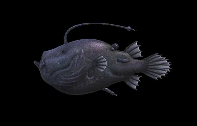 Melanocetus lamp - Issuu