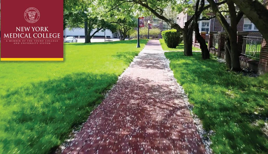 NYMC Style Guide by New York Medical College - Issuu