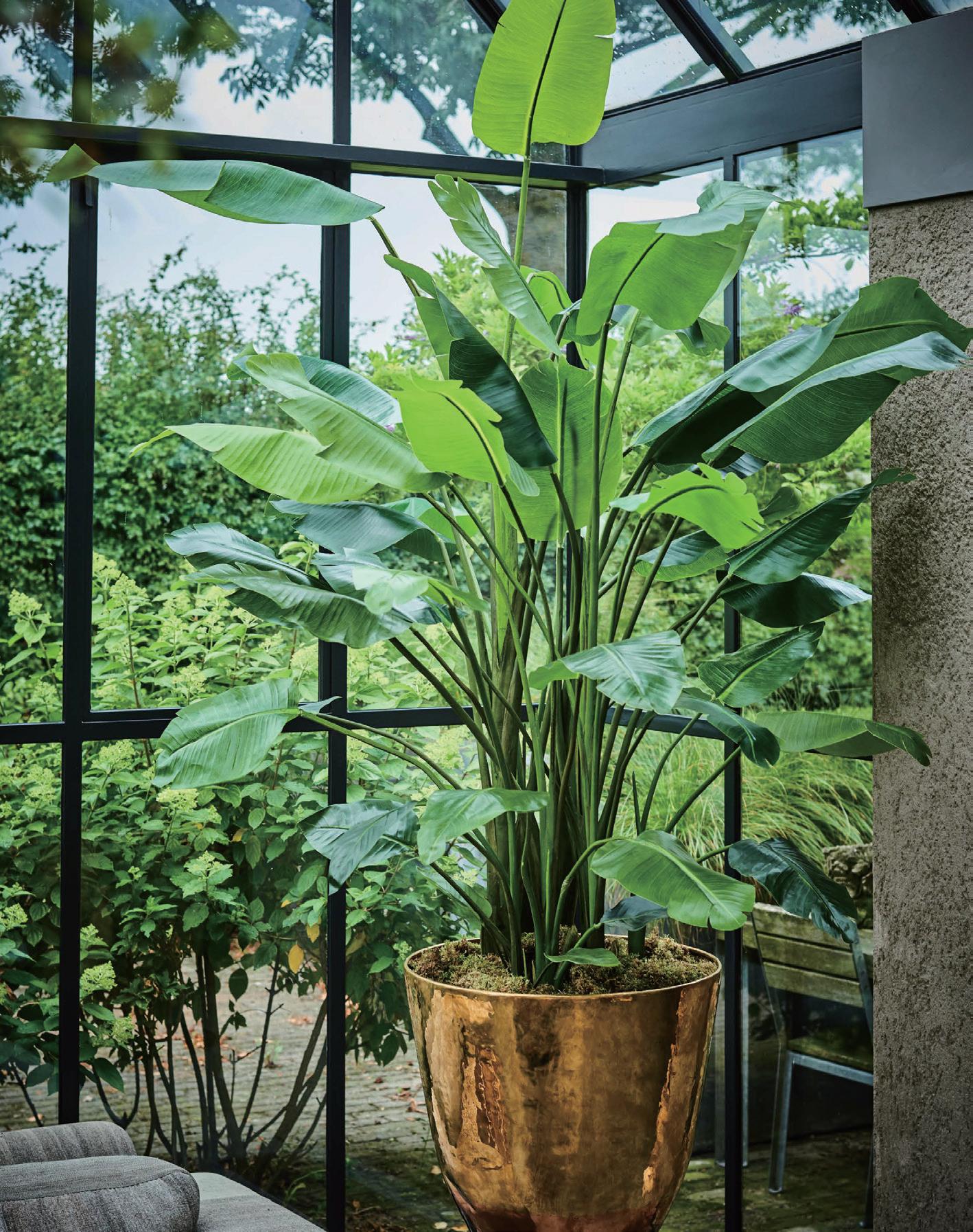 Realistic plants / trees by juicygarden - Issuu