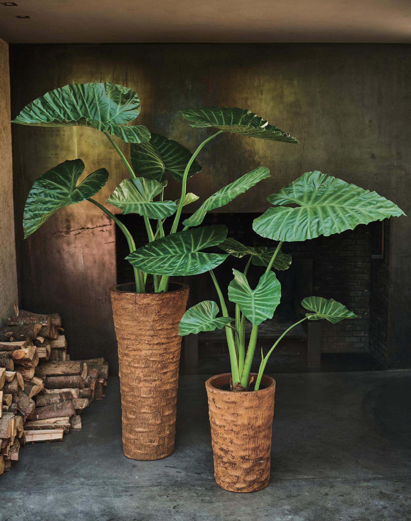 Realistic plants / trees by juicygarden - Issuu