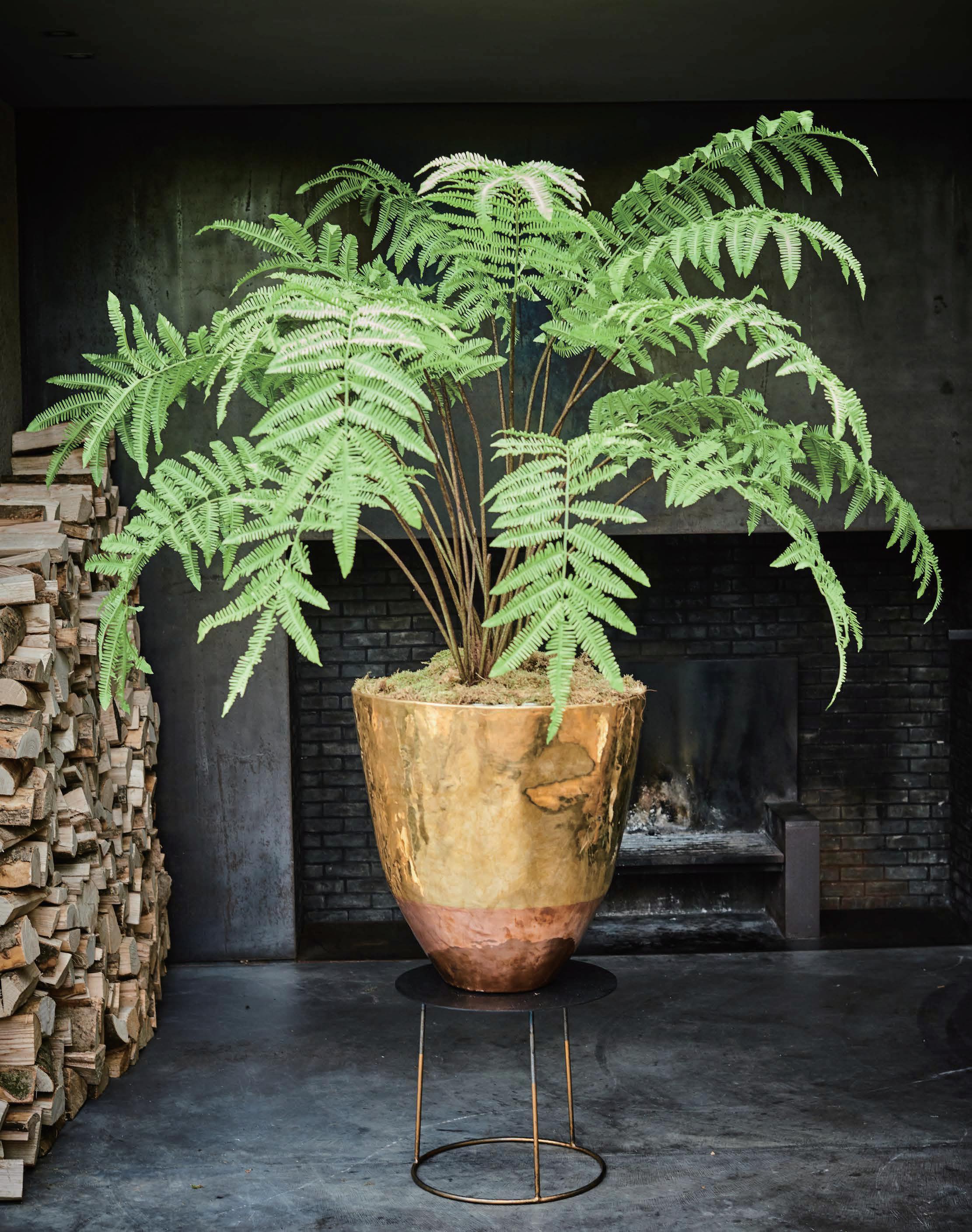 Realistic plants / trees by juicygarden - Issuu