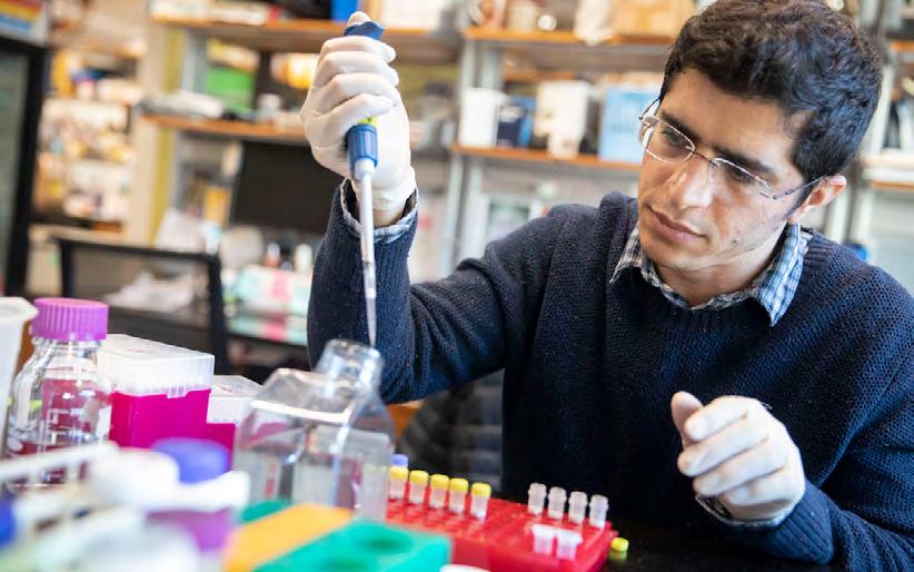 Harvard Medical School Master's Degree Programs Brochure by Harvard ...