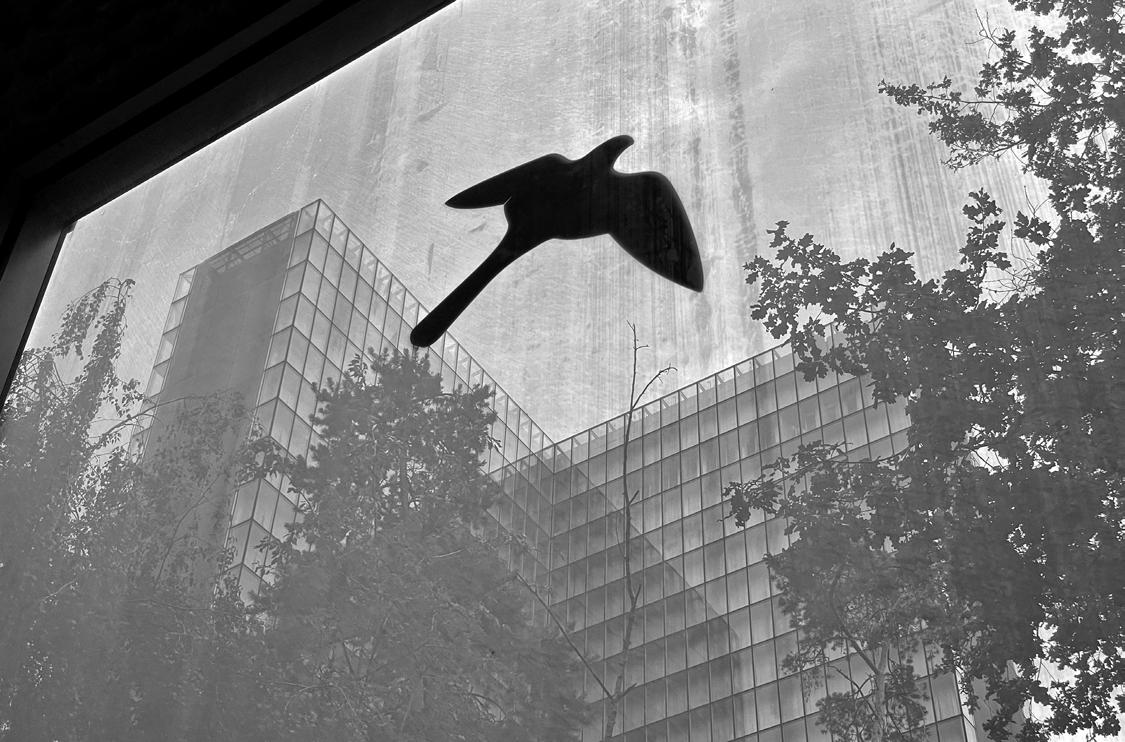 Alex Martin Undergraduate Architectural Portfolio - Spring 2023 by Alex ...