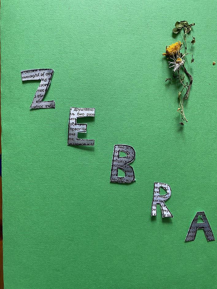 zebra book by Jovana Vujić - Issuu