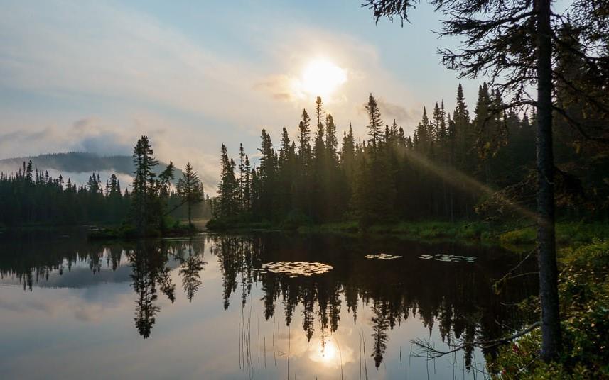 SIA-QC / Carte Réserve faunique de Matane_2023_01_t by Sentier ...