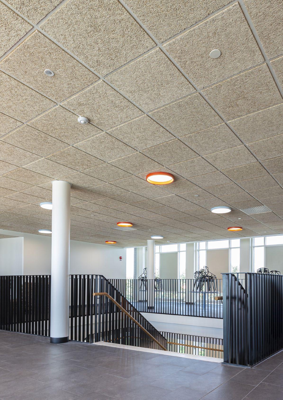 Troldtekt Information 2023 SE by Troldtekt - Issuu