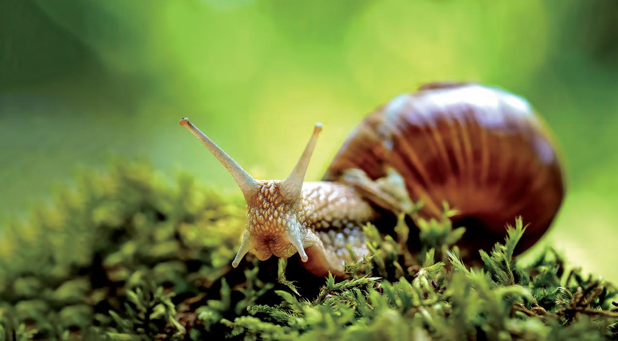 Smart Reading 6-3 Student Book by englishbooks.jp - Issuu