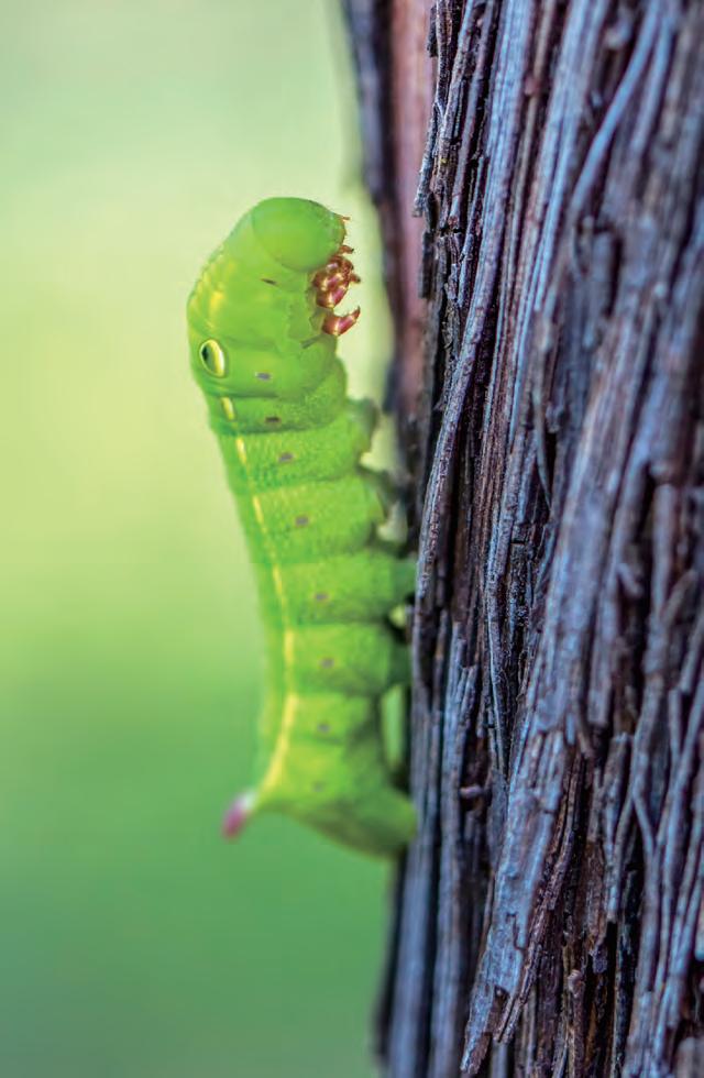 Smart Reading 6-3 Student Book by englishbooks.jp - Issuu