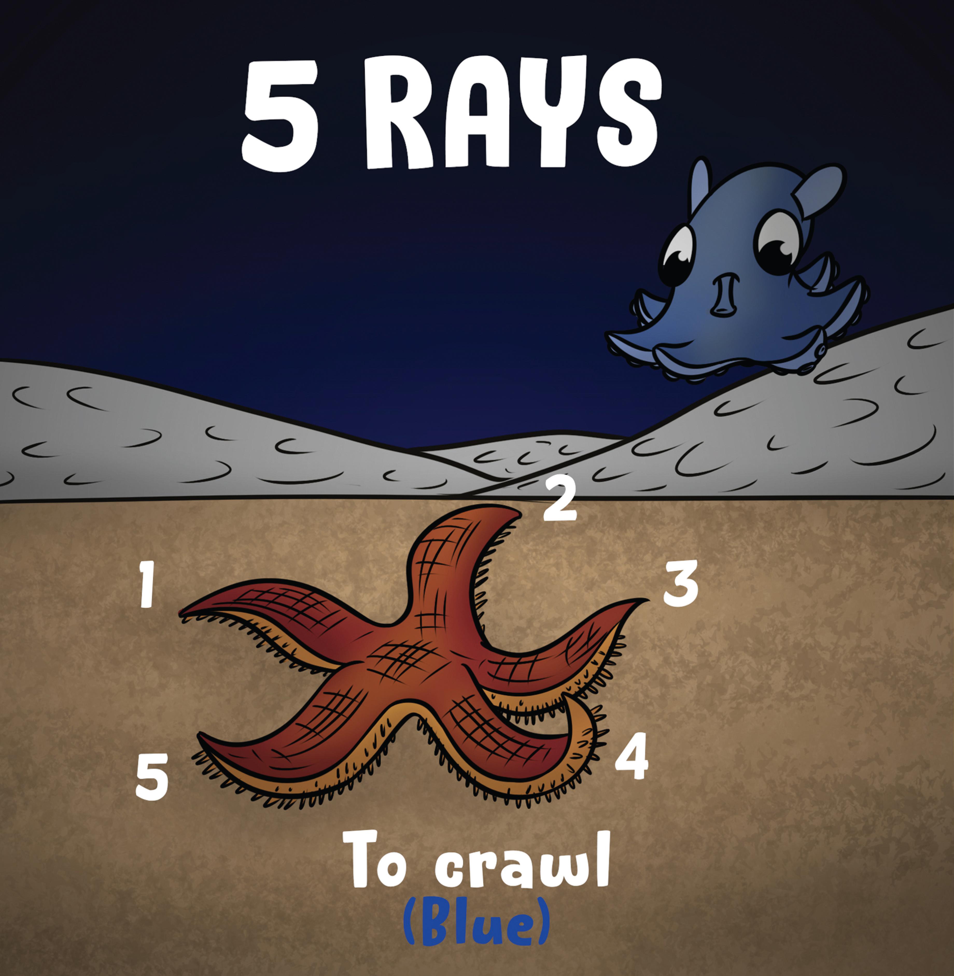 Oly and Opi Numbers & Colors Book by Steve Rios - Issuu