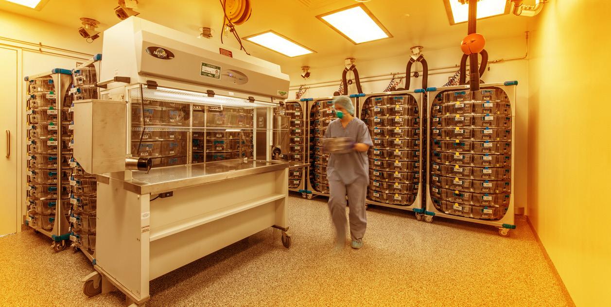 Amber Lighting for Cleanrooms & Laboratories by Pa-Co Lighting - Issuu