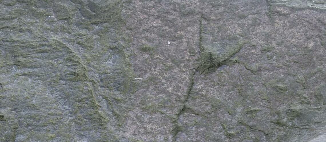 Annual Report 2021-2022 by Adams Lake Indian Band - Issuu