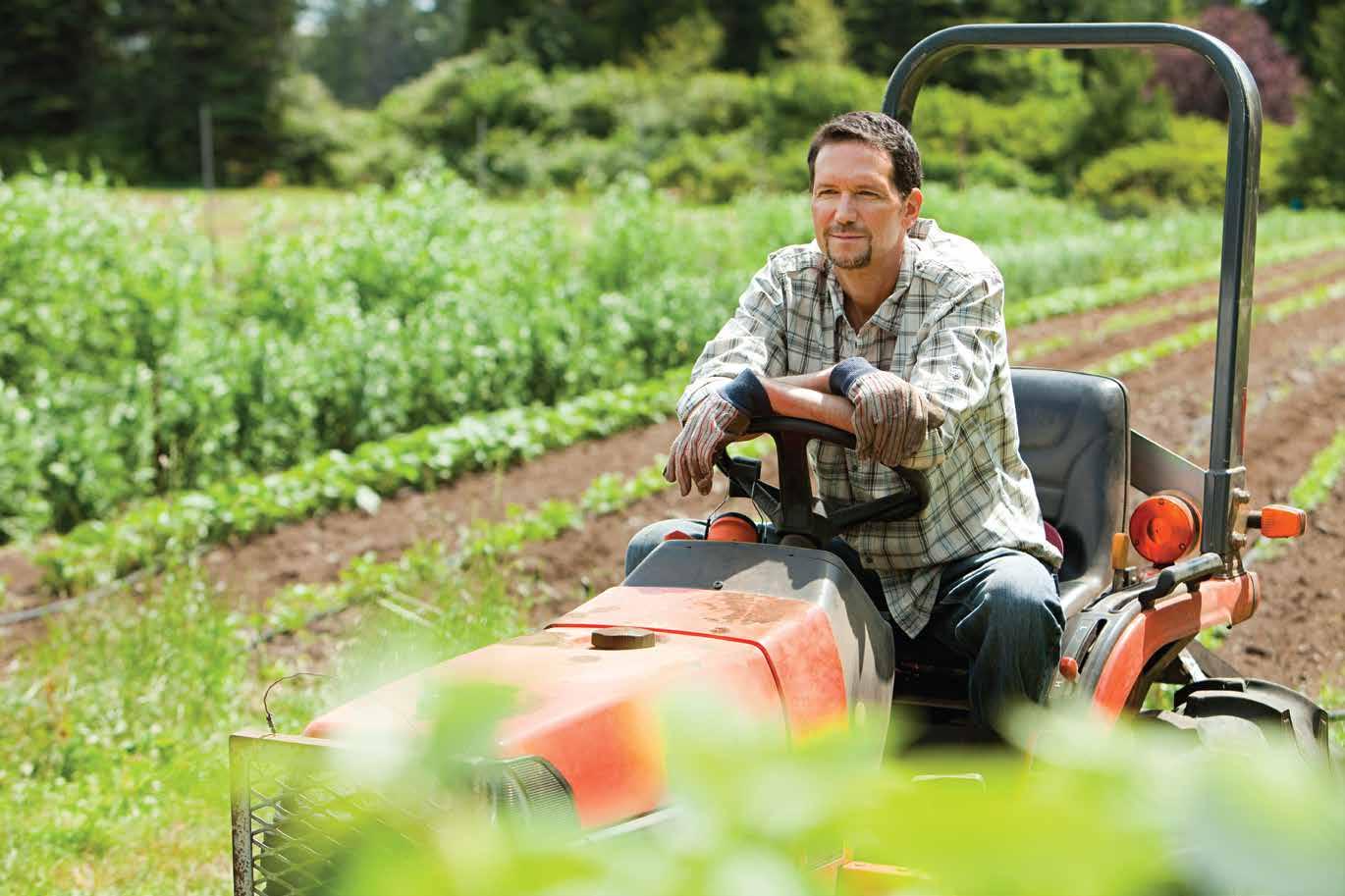 Sysco BC Local Field Guide by SyscoBCRegion - Issuu