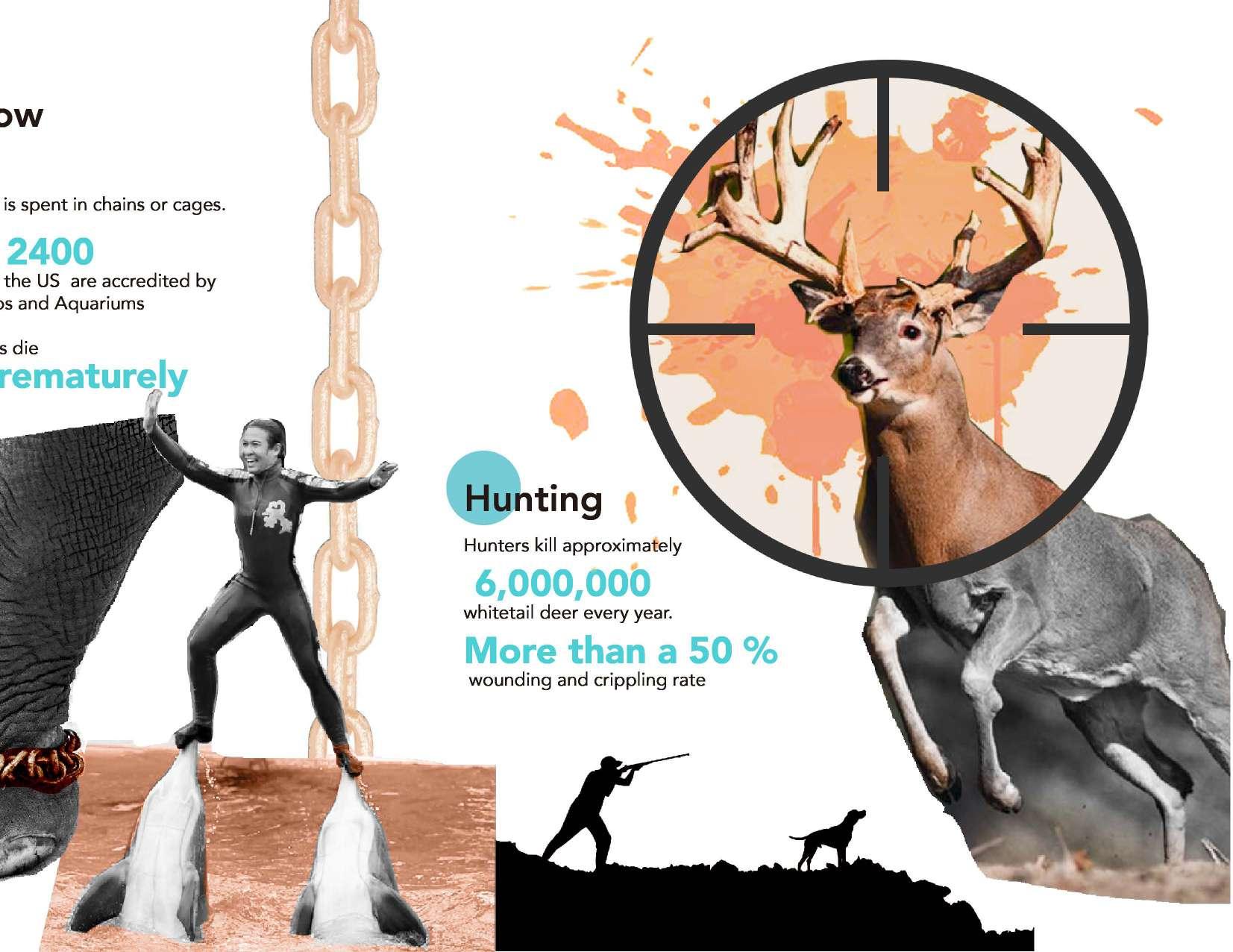 Portfolio_Chenxi Guo_2022-2023 by ChenxiG - Issuu