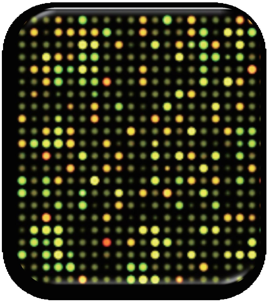 Sequencing-based Genotyping Assays by CD Genomics - Issuu Sequencing-based Genotyping Assays by CD Genomics - Issuu