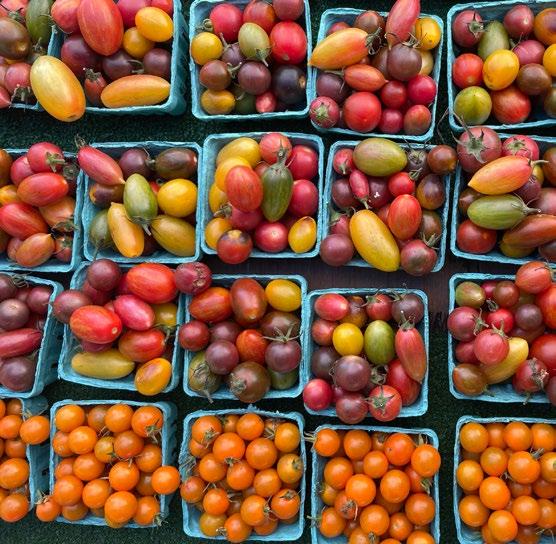 GrowNYC 2022 Annual Report by GrowNYC - Issuu