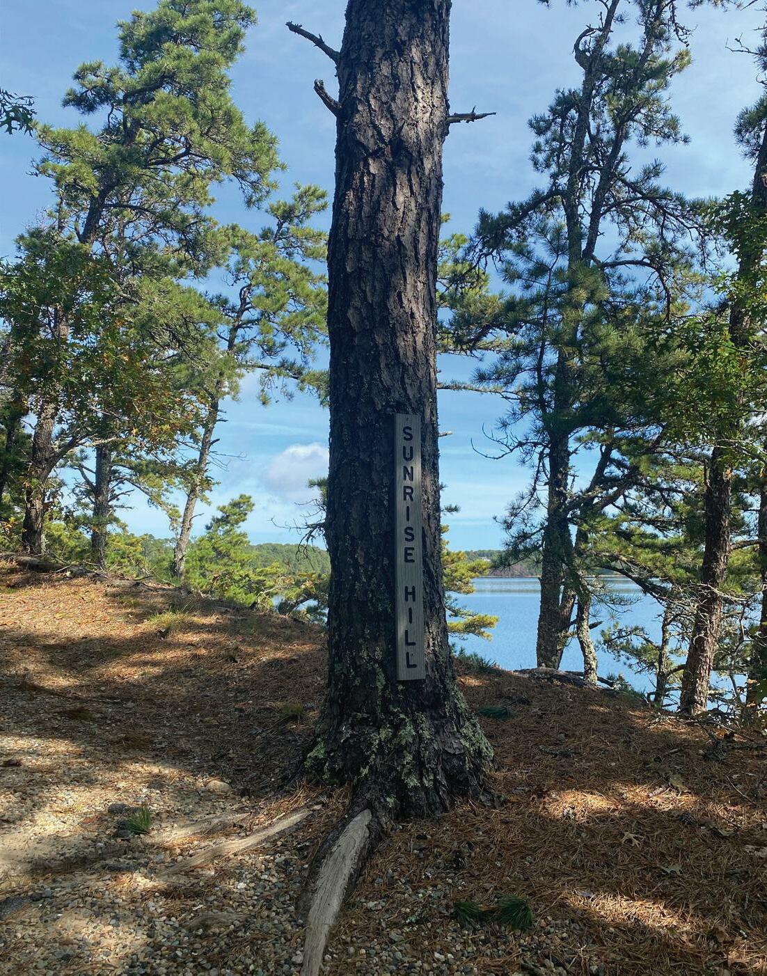 GSEMA Property Guide by girlscoutsemass - Issuu