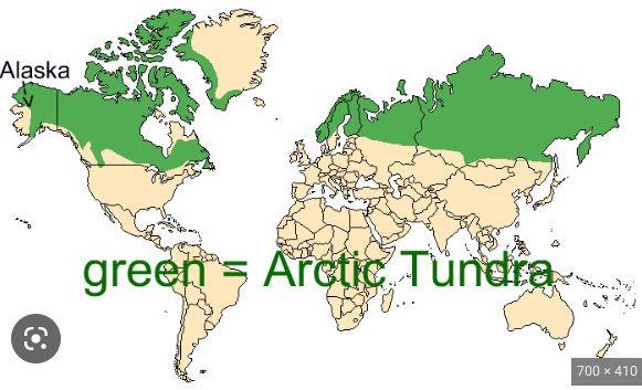 Arctic Fox Habitat Map