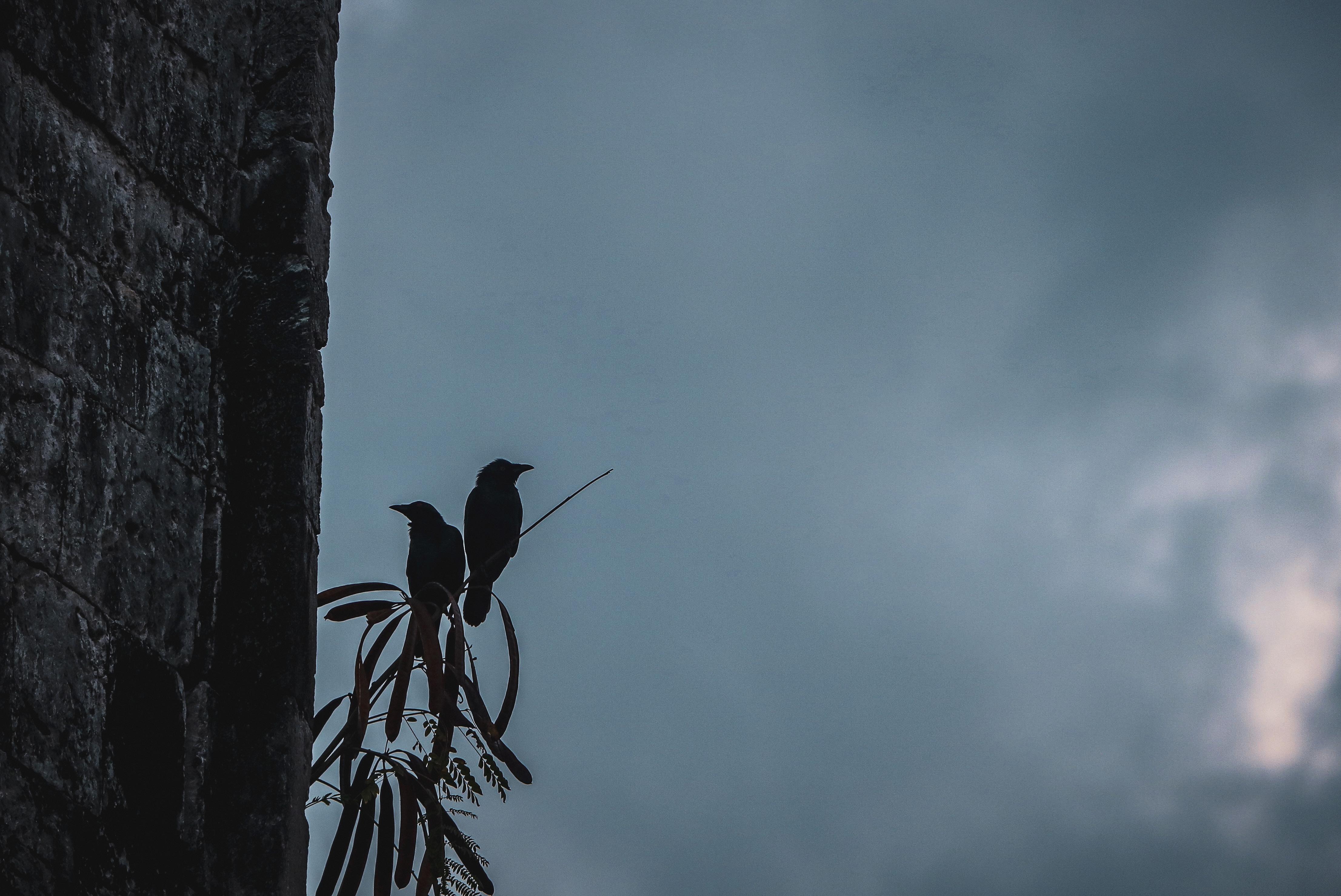 The Quill Literary and Arts Folio 1st Semester 2022-2023 by The Quill ...