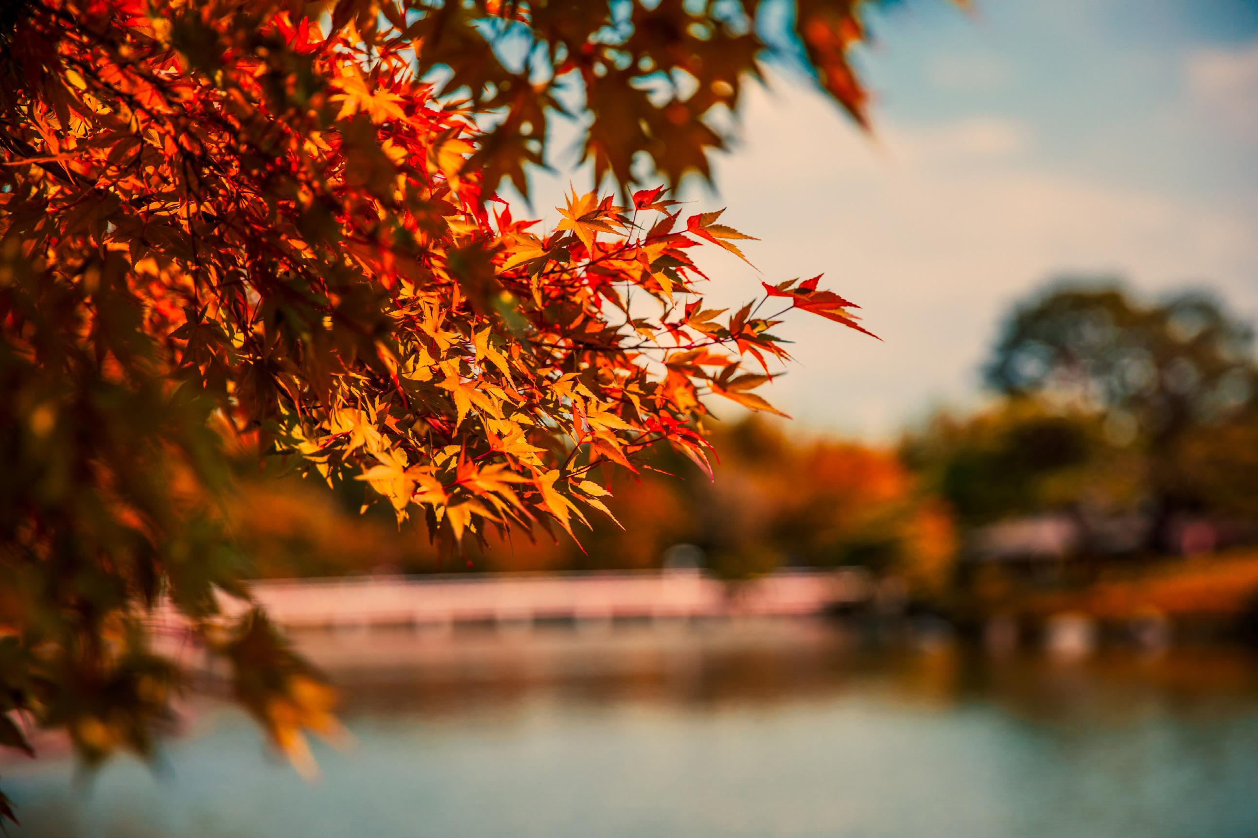 Jim Romano - Heritage_NOV22 - 22698_Sample by REAL Marketing - Issuu
