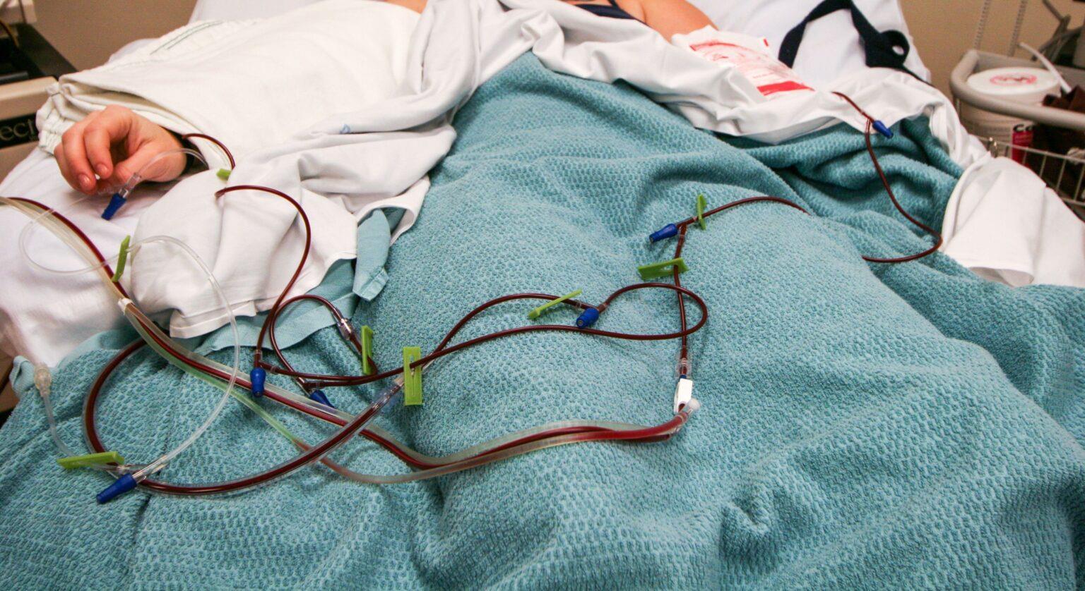 what-is-a-bone-marrow-transplant-by-mufamedi-tourism-issuu