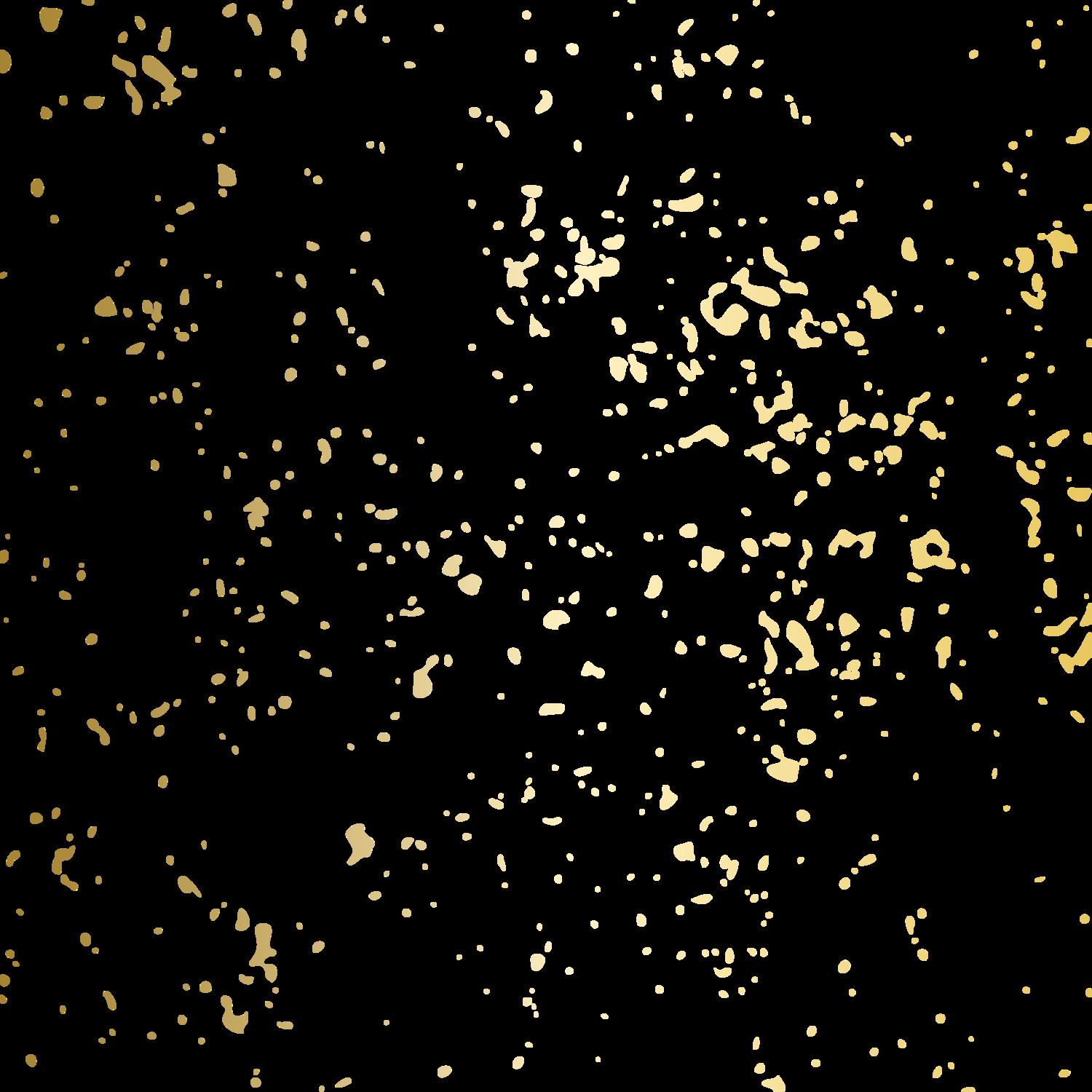 A Walk Through Motown - sort of - Cabaret program by StageCoach Theatre ...