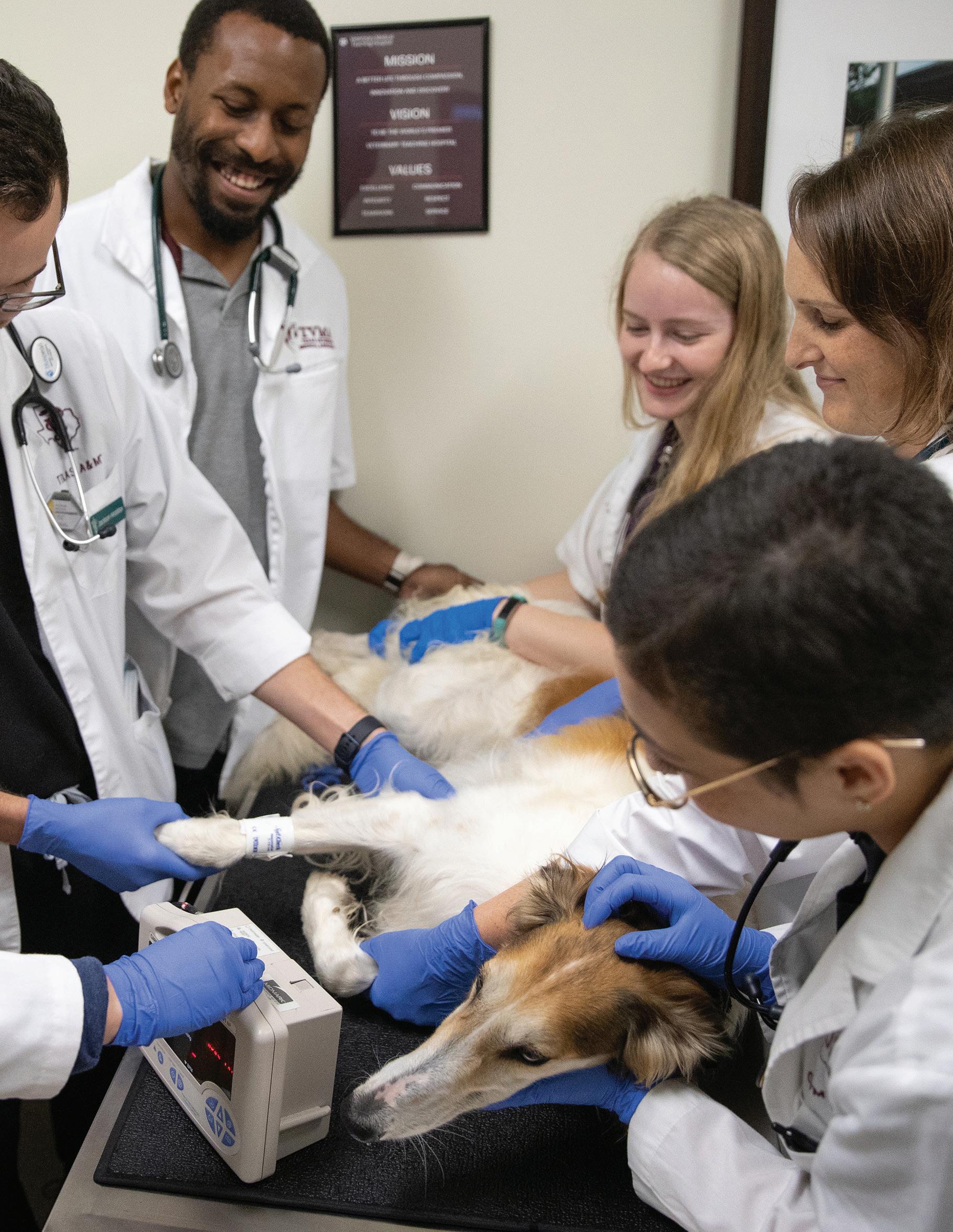 VMBS Today - Shaping the Future: Advancing the Next-Generation of ...