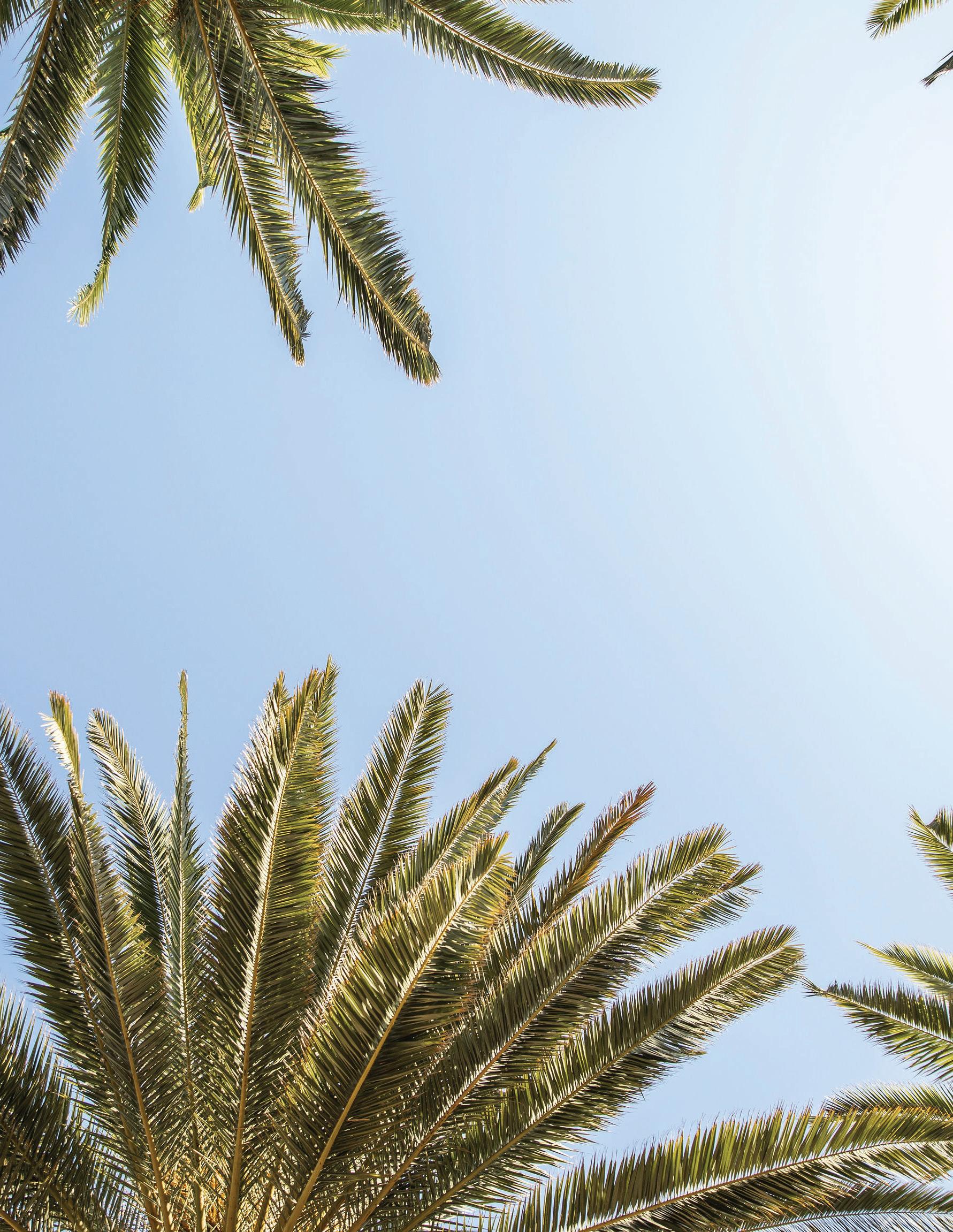 MSB 2022 Collateral - Bifold by Pepperdine Graziadio Business School - Issuu