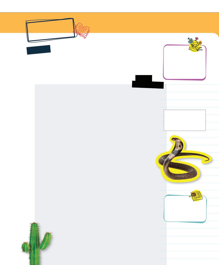 MISSIONS 1 - Extrait cahier d'apprentissage, français 1re secondaire by ...