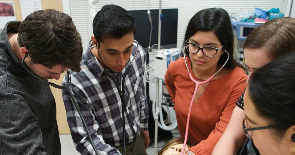 Northeastern University Bouvé College of Health Sciences Undergraduate ...