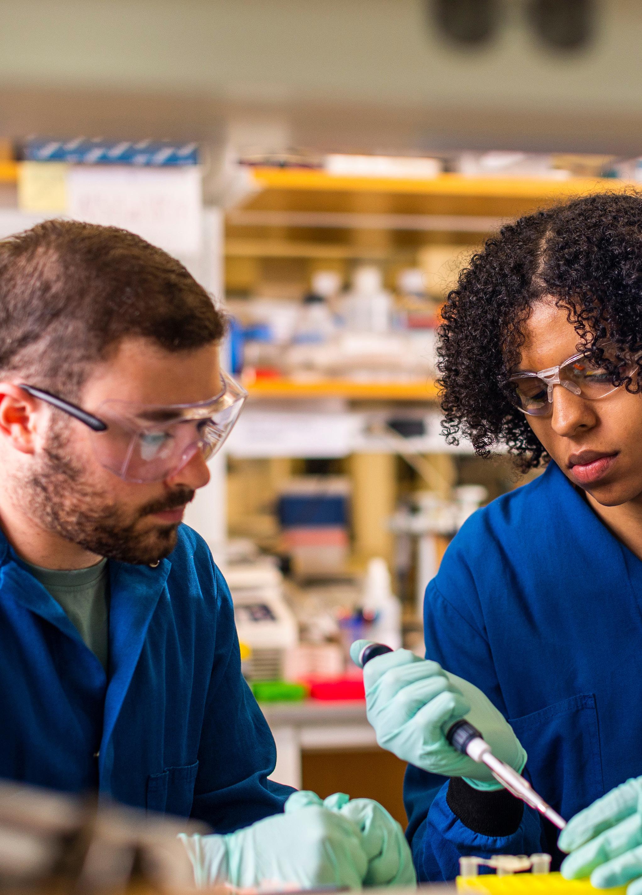 Northeastern University Bouvé College of Health Sciences Undergraduate ...