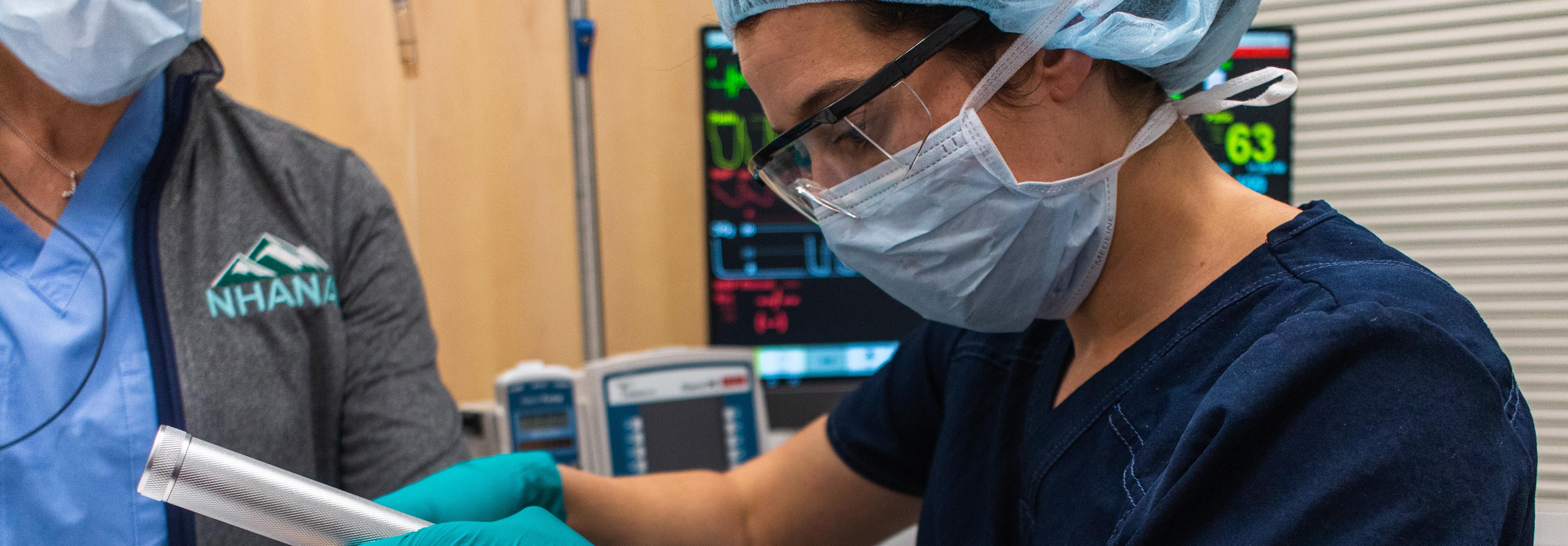 Northeastern University Bouvé College of Health Sciences Undergraduate ...