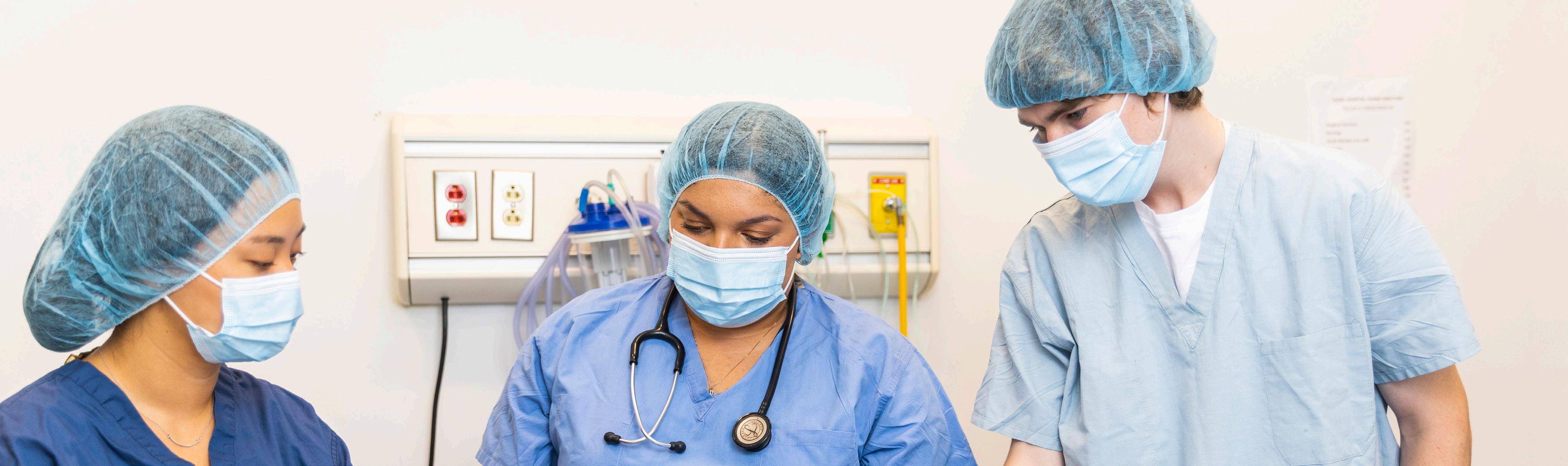 Northeastern University Bouvé College of Health Sciences Undergraduate ...