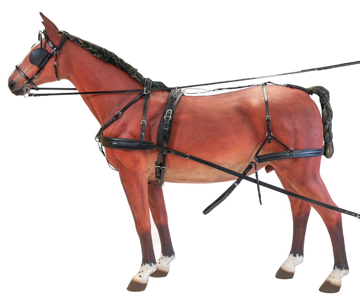 Zilco - Starter Harness Catalogue by Zilco - Issuu