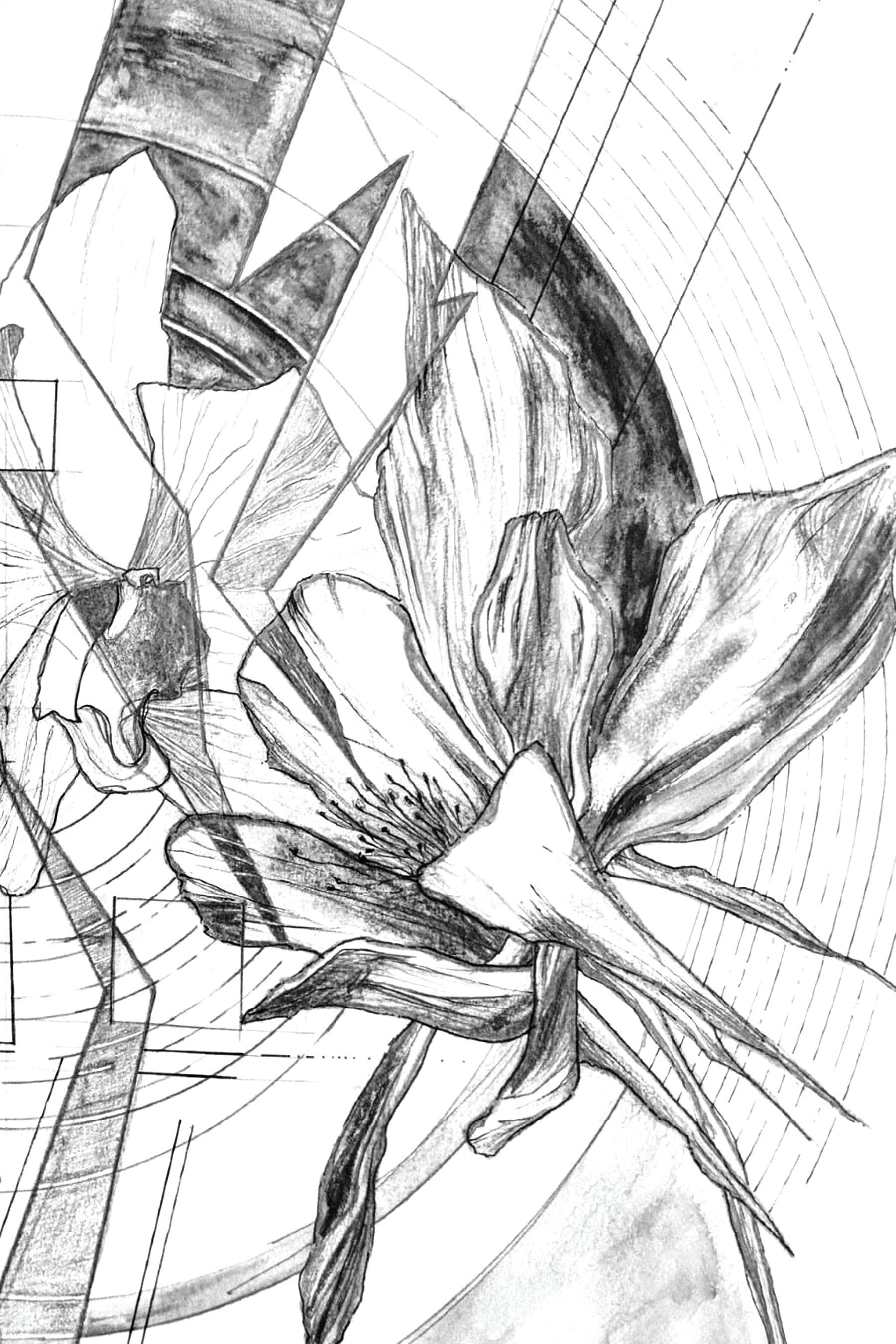 Portfolio 2023 by Moid Ali - Issuu