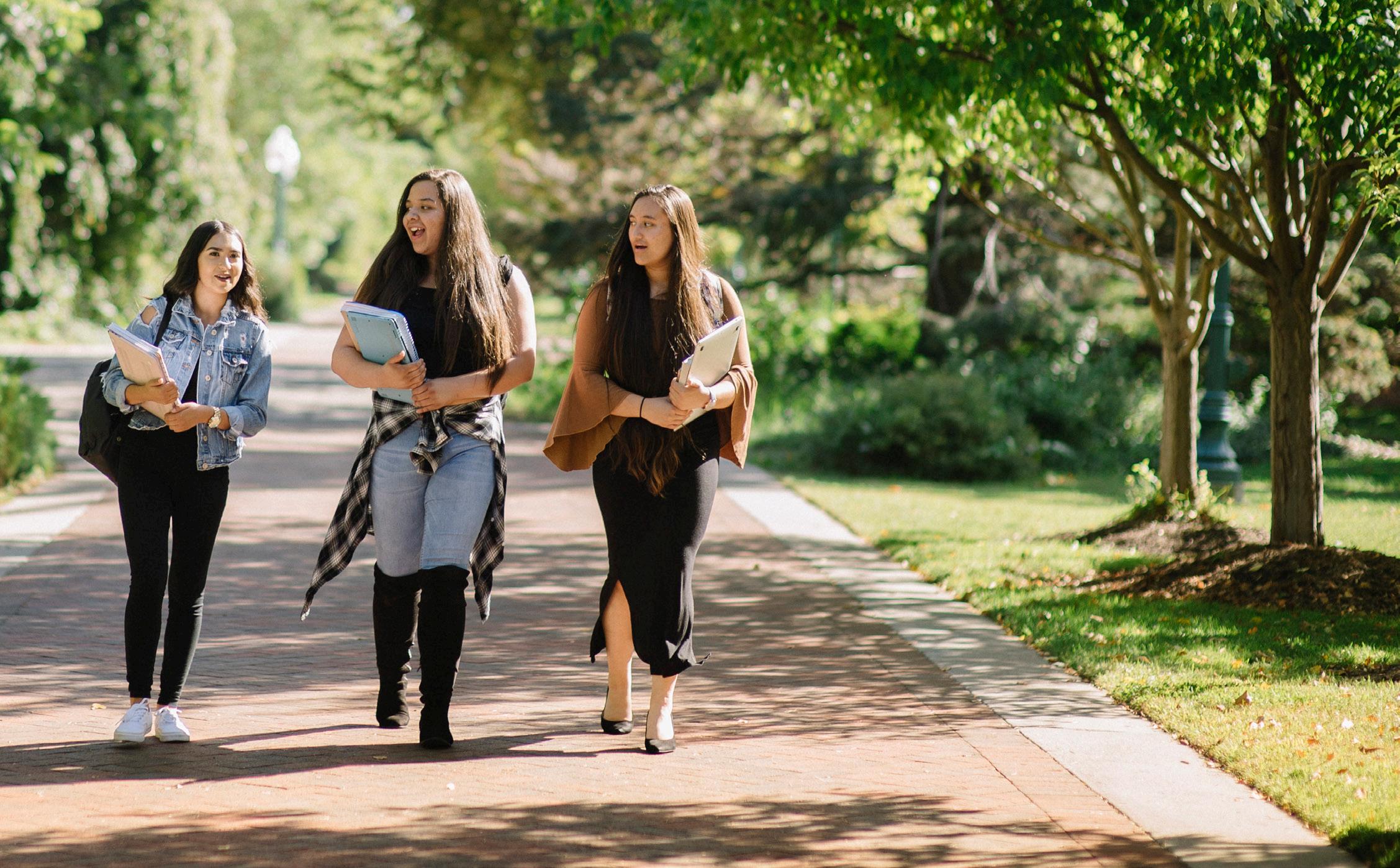 Housing Brochure 2023-2024 by Regis University - Issuu