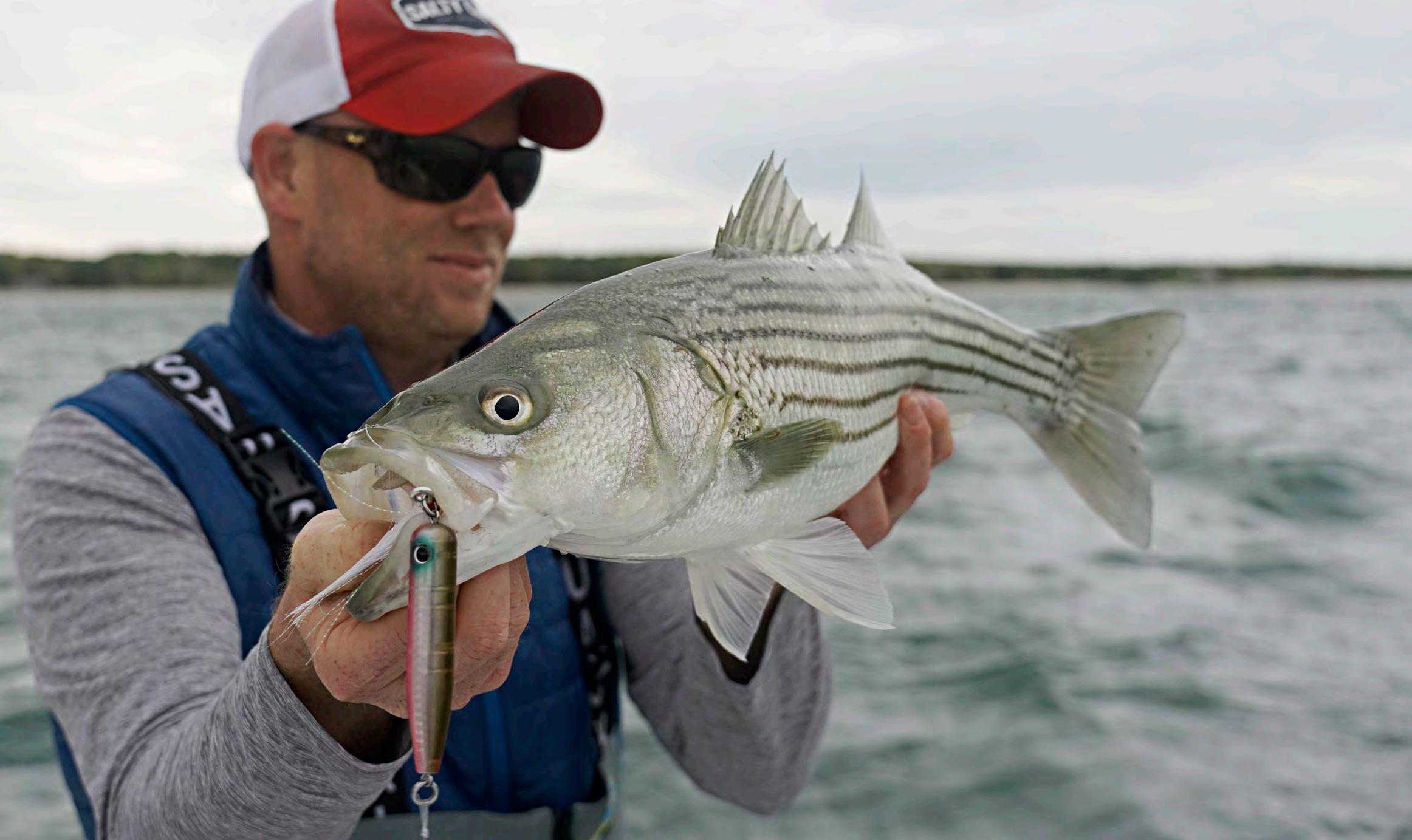 2023 Hogy Product Catalog by hogylureco - Issuu