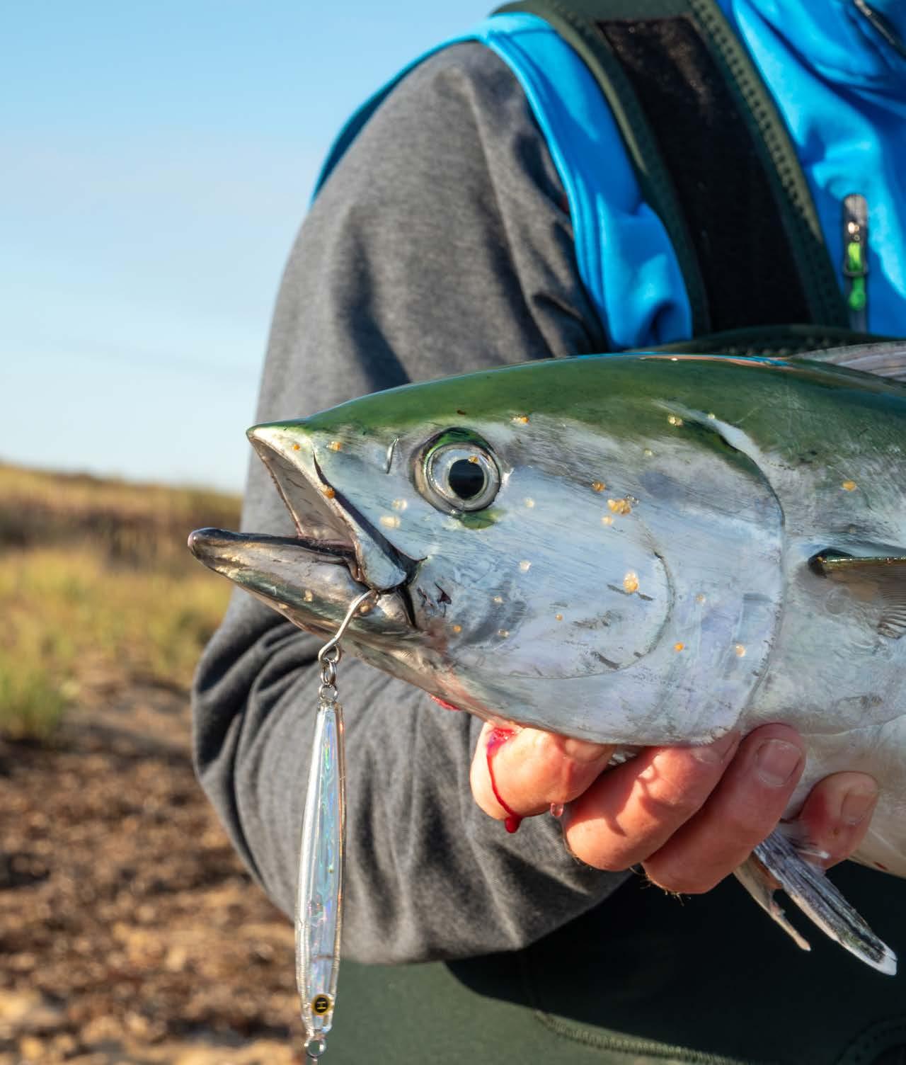 2023 Hogy Product Catalog by hogylureco - Issuu