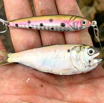 2023 Hogy Product Catalog by hogylureco - Issuu