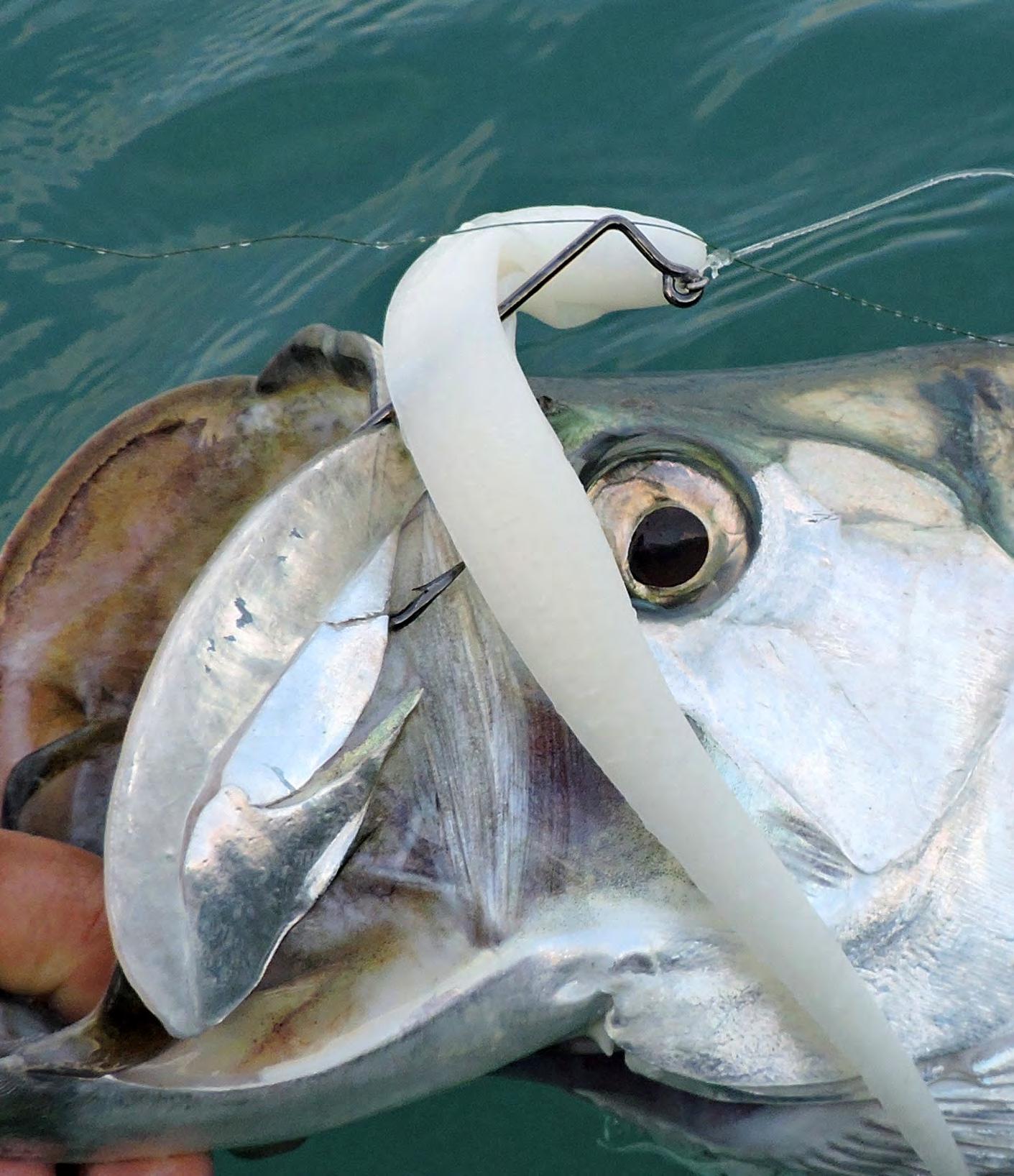 2023 Hogy Product Catalog by hogylureco - Issuu