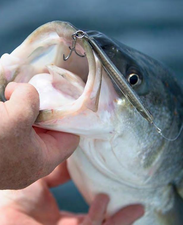 2023 Hogy Product Catalog by hogylureco - Issuu