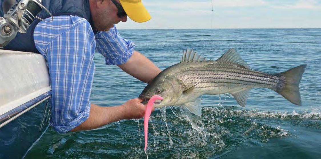 2023 Hogy Product Catalog by hogylureco - Issuu