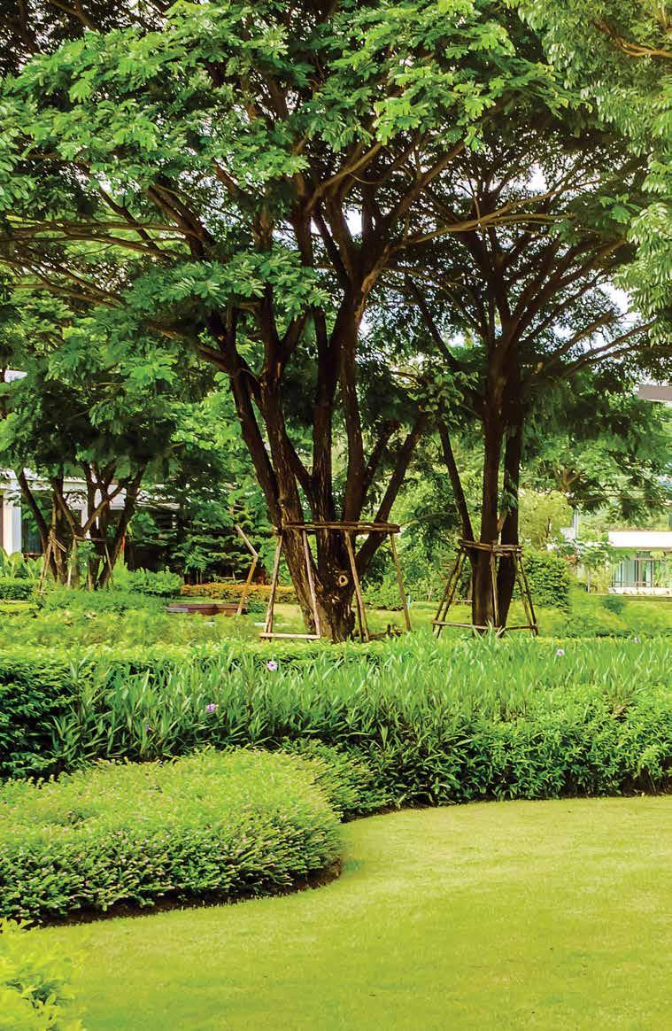 Folder HandyHome Site Doyen mars 2023 by MENO - Issuu