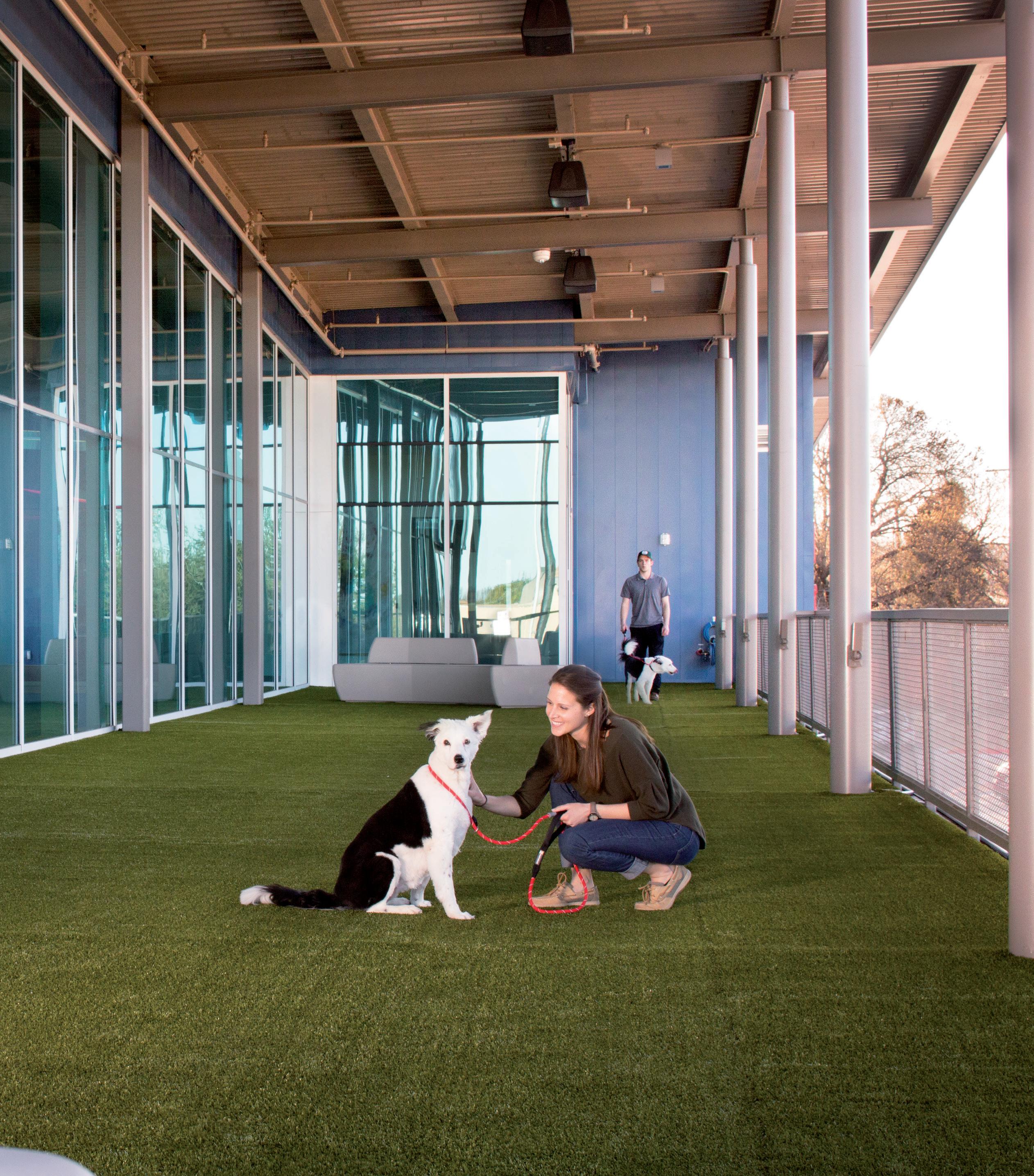 Animal Shelter Design by PGAL - Issuu