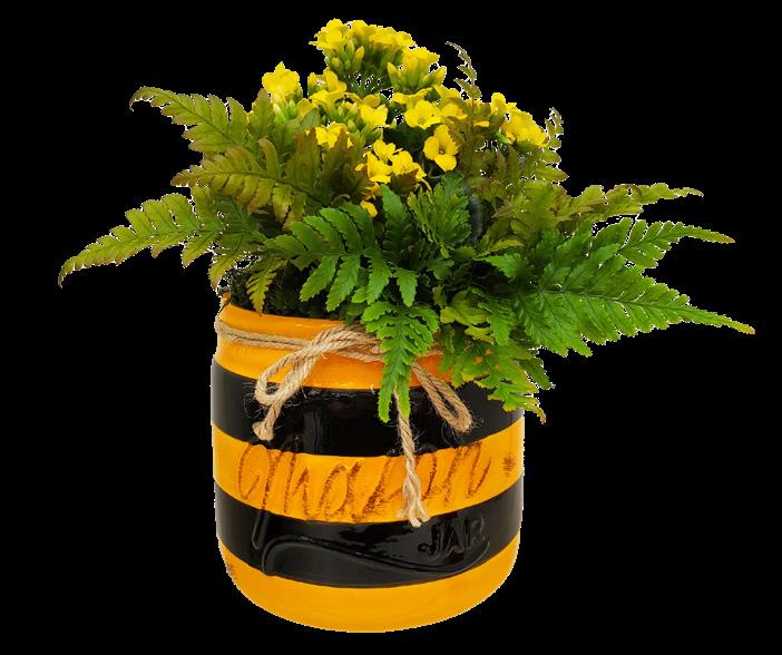 Flora Pack Catalog - Second Half 2023 by florapack - Issuu